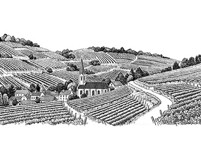 Vin et vignobles